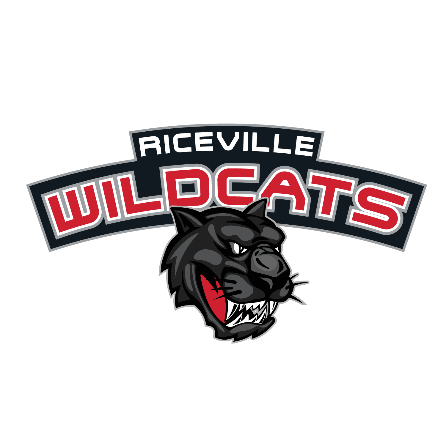 Branding Guidelines - Riceville Community School District