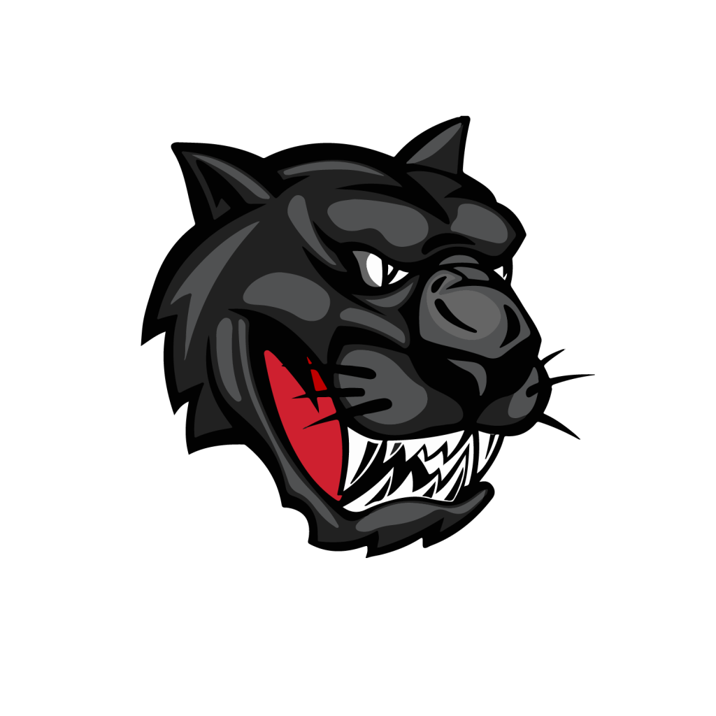 Branding Guidelines - Riceville Community School District